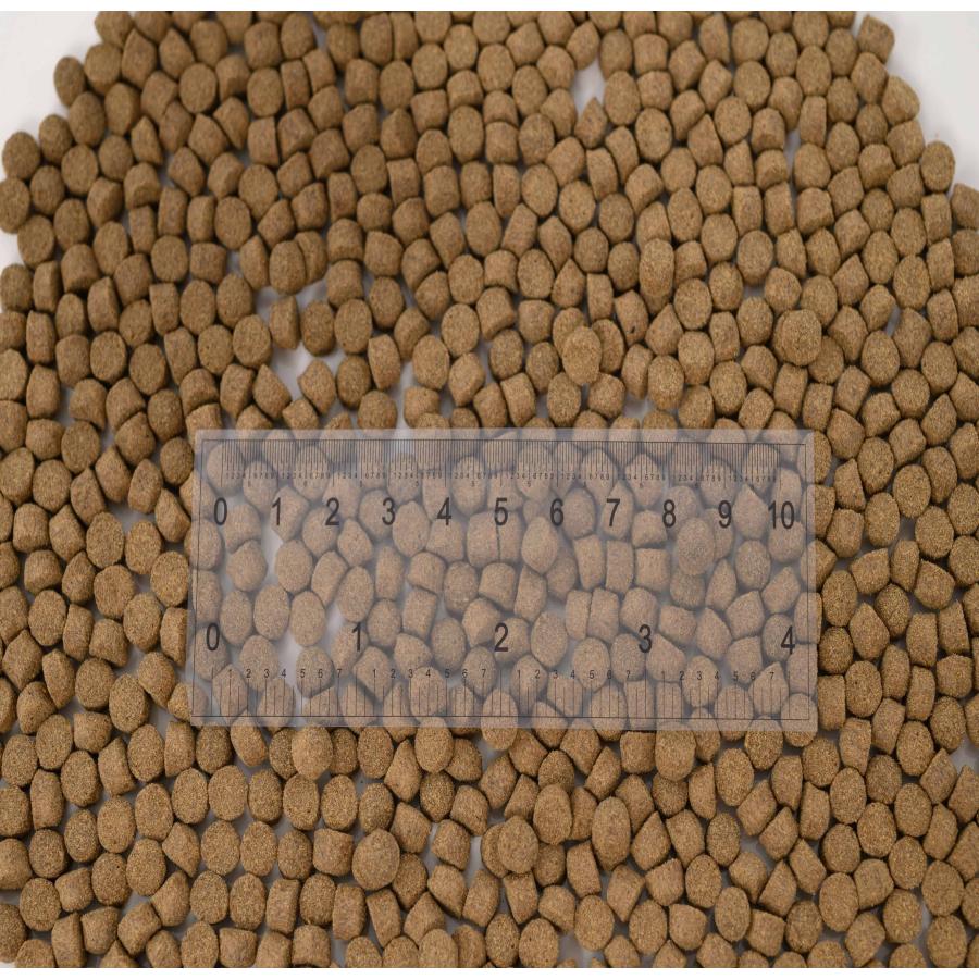 日清丸紅飼料 おとひめEP6(約5.4mm〜約6.4mm) 10kg(500g×20袋) 沈降性(沈下性) 金魚 アロワナ 肉食魚に : 一貫堂 大阪府茨木市 - 通販 - Yahoo!ショッピング