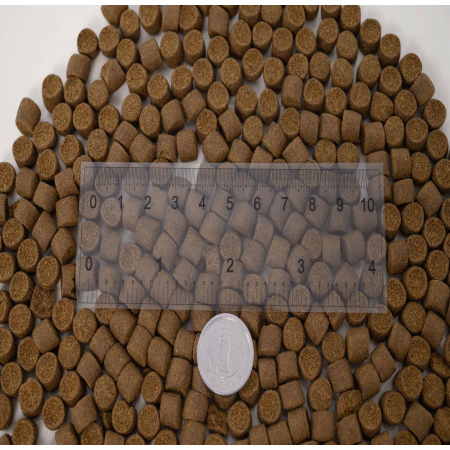 日清丸紅飼料 おとひめEP8(約6.8mm〜約8.0mm) 10kg(500g×20袋) 沈降性(沈下性) 金魚 アロワナ 肉食魚に : 10002373 : 一貫堂 大阪府茨木市 - 通販 ...