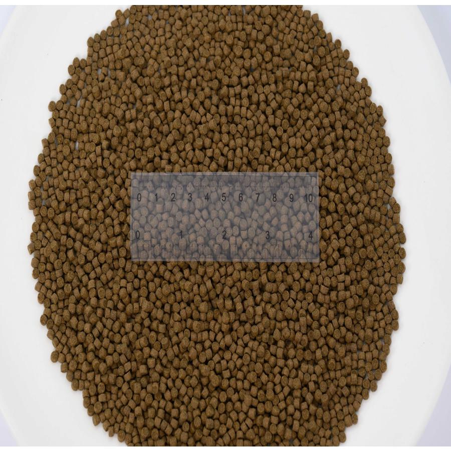 日清丸紅飼料 おとひめEP4 (3.4mm〜4.0mm) 450g 沈降性(沈下性) 小分け品 金魚 餌 500gから規格変更 : 一貫堂 大阪府茨木市 - 通販 - Yahoo!ショッピング