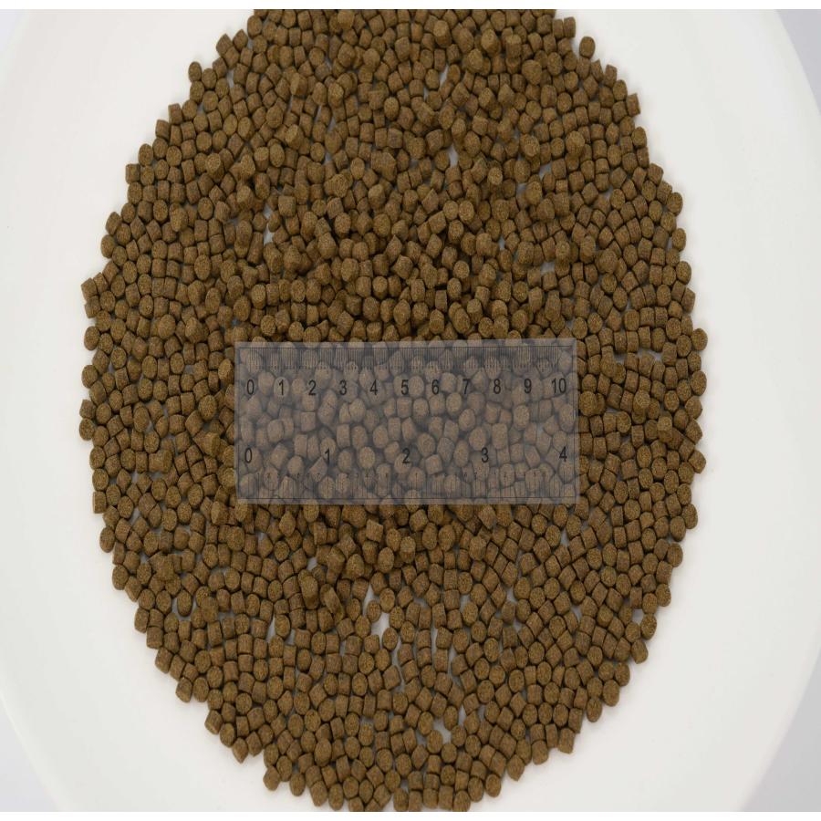 日清丸紅飼料 おとひめEP5 900g(450g×2袋) (5.1?4.3mm) 沈降性(沈下性) 小分け品 金魚 餌 1kgから規格変更 : 一貫堂 大阪府茨木市 - 通販 - Yahoo ...