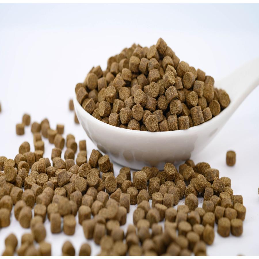 日清丸紅飼料 おとひめEP5 900g(450g×2袋) (5.1?4.3mm) 沈降性(沈下性) 小分け品 金魚 餌 1kgから規格変更 : 一貫堂 大阪府茨木市 - 通販 - Yahoo ...