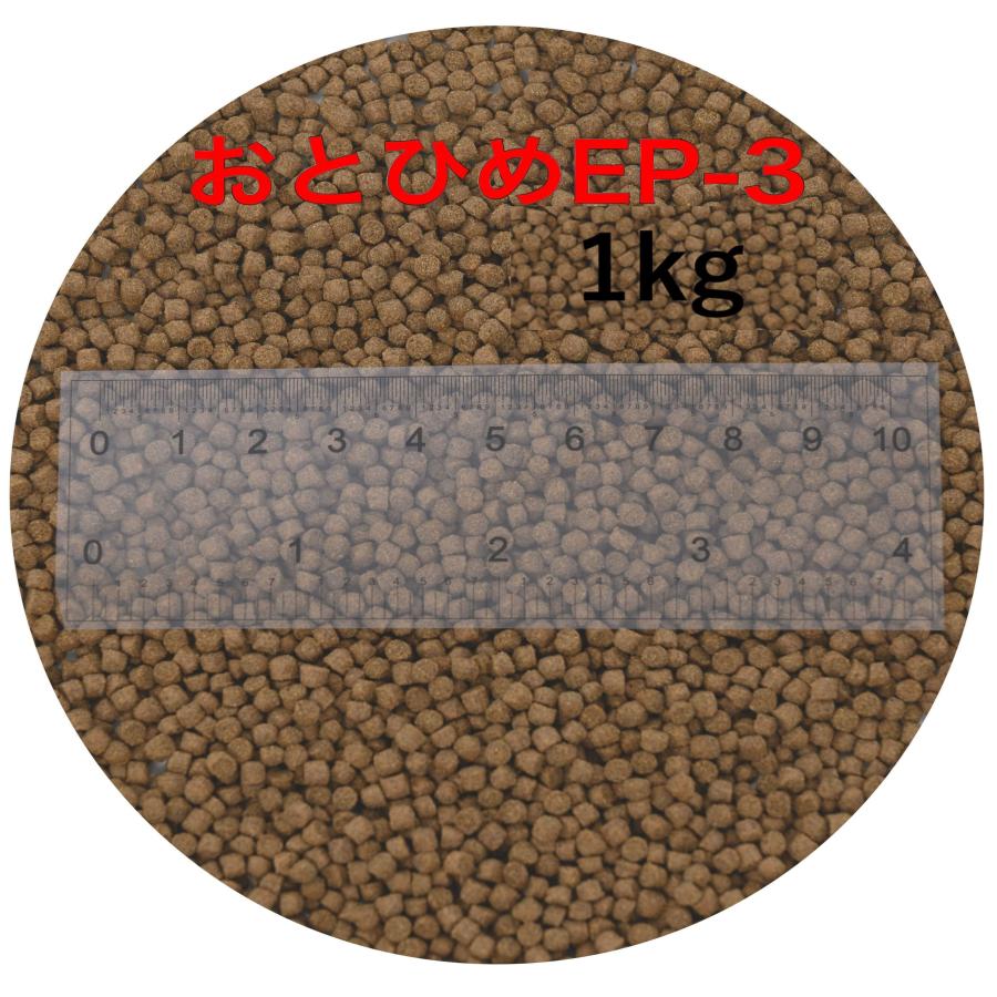おとひめEP3(約2.9?約3.3mm) 1kg(500g×2袋) 沈降性(沈下性) 日清丸紅飼料 金魚 アロワナ 肉食魚に : 一貫堂 特選店 - 通販 - Yahoo!ショッピング