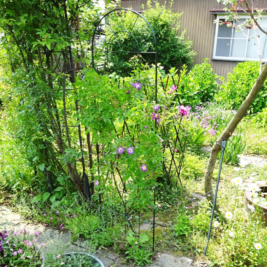 【2個セット】ガーデニング フェンス トレリス アイアン 日本製 高さ195cm モスグリーン オベリスク 組み立て 支柱 園芸 園芸用品 No.183 小林金物 : 一級品の店 いっきゅう ...