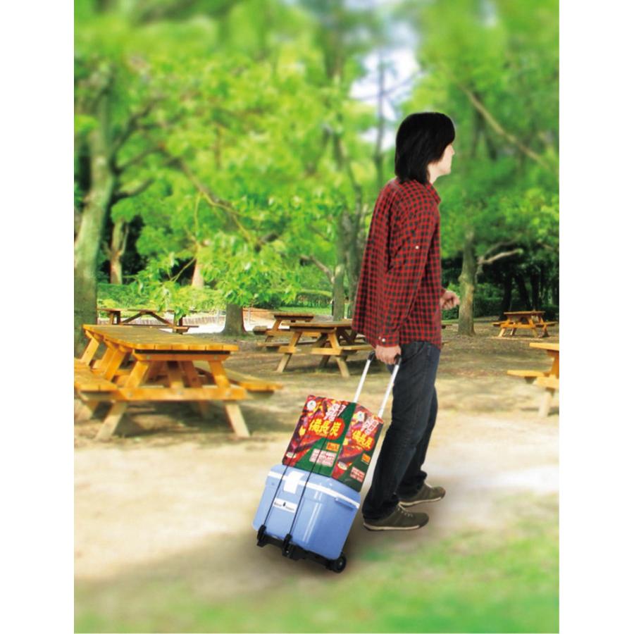 Kakusee 【耐荷重20kgまで】折りたたみ式ハンドキャリー 簡易 軽量 コンパクト 運搬用ハンドキャリー 持ち運び 運搬 手軽 アルミ製 ハンディ イベント 折 : 一級品の店 いっ ...