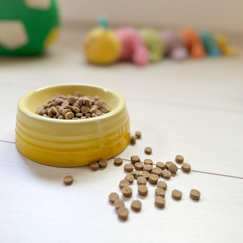 ヤムヤムヤム Yum パピー Happiness plus+ 50g/犬 子犬 おいしい ドライフード ごはん お試し 小袋 ポイント利用 お試し商品 サンプル : 犬用自然派おやつ専門店 ...