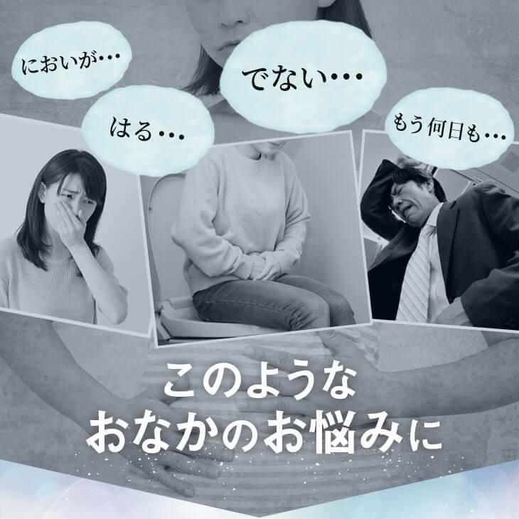 日本予防医薬 500億個のビフィズス菌 30日分 本気の腸活サプリ BB536 腸内フローラ 乳酸菌 ビフィズス菌末BB536 テアニン 機能性表示食品 : 日本予防医薬 Yahoo!店 ...