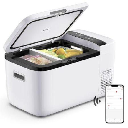 ICECO GO20 Dual Zone Portable Refrigerator, Separate Control, 21 Quart ...