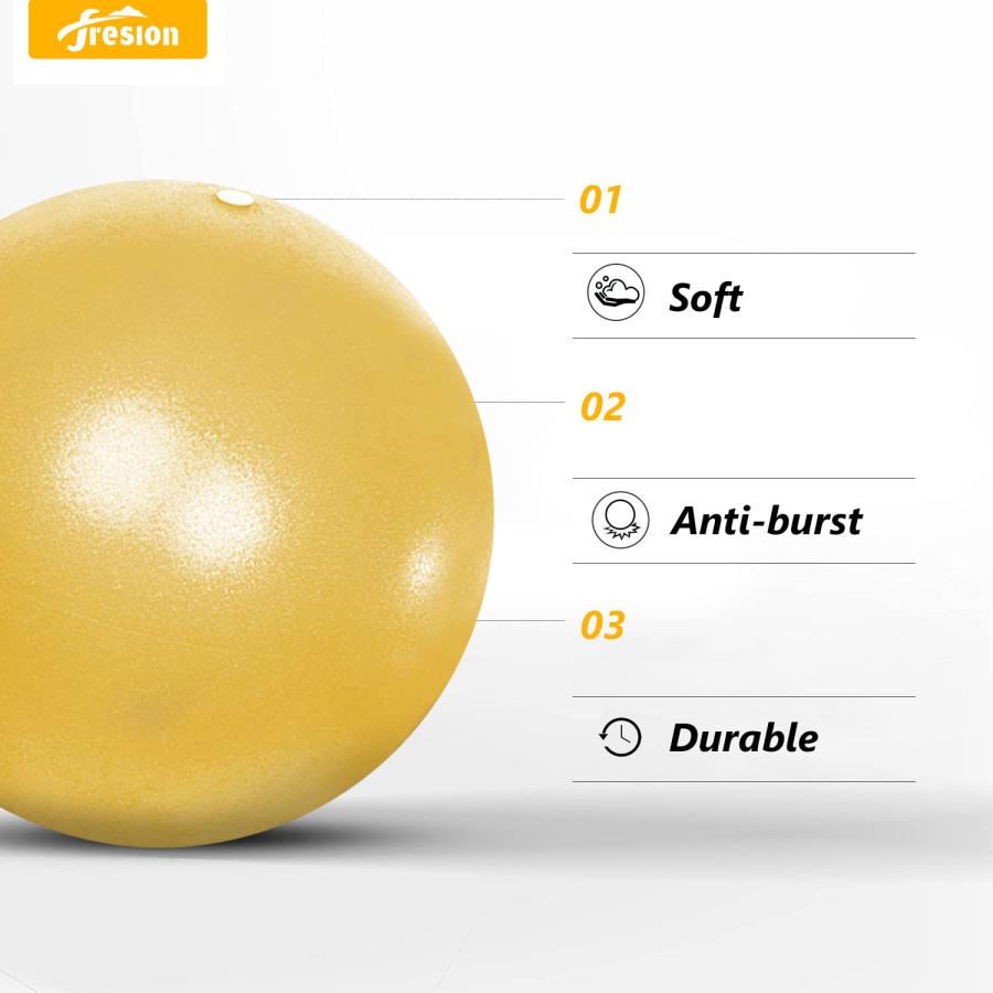 【並行輸入品】Fresion 小さなエクササイズボール ソフトヨガボール ミニピラティスボール 25cm コアトレーニングエクササイズ用 耐久 ...