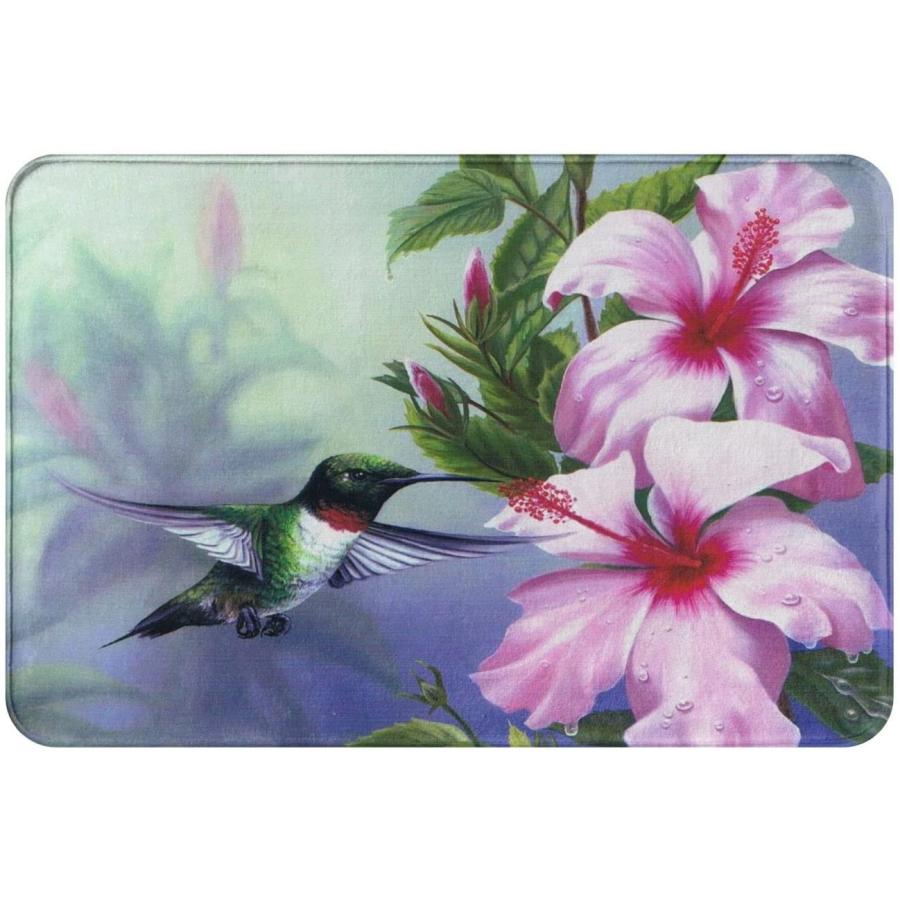 Bath Rugs Bird Hummingbird with Pink Flower Door Mat Outdoor Doo 並行輸入品 ...