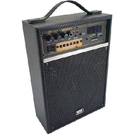 EMB -300W Rechargeable Guitar Amplifier Speaker Combo with SD USB MIC ...