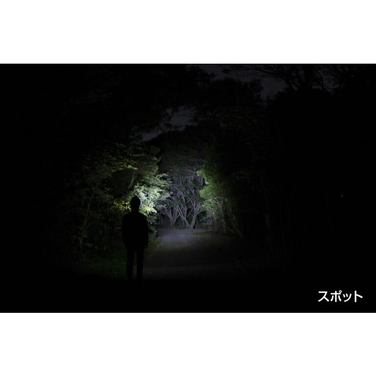 GENTOS \ヘッドライト+専用充電池セット／ コンパクトライト 充電式 ジェントス WS-400H 充電池 リチウムポリマー充電池 ジェントス品専用 WS-20SB : インプリンク ...