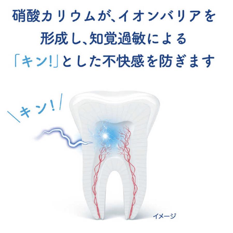 薬用シュミテクト シュミテクト ホワイトニング 歯磨き粉 トゥルーホワイト 1450ppm 80g 6セット : 生活のエッセンス - 通販 - Yahoo!ショッピング