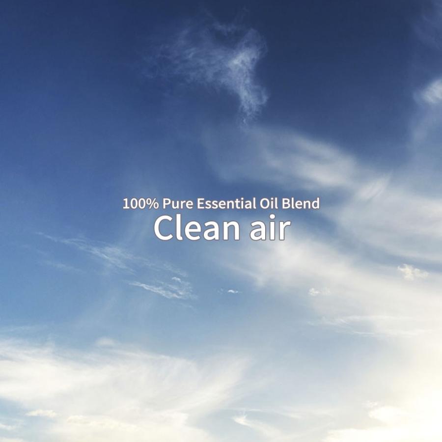 アットアロマ クリーンエアー エッセンシャルオイル 精油 10ml C01 C02