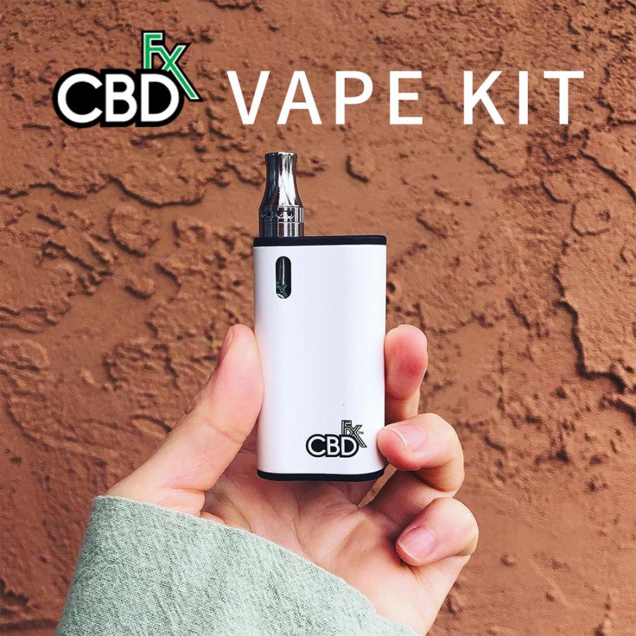 CBDfx ベイプキット カートリッジ1本付 Vape : INSTORE インストア - 通販 - Yahoo!ショッピング