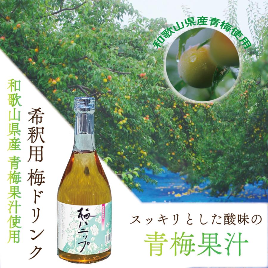 希釈用梅ドリンク 梅ジュース 梅ハニップ 590g×1 瓶 4倍希釈 紀州南高梅 熱中症対策 夏バテ防止 美肌 美容効果 疲労回復 :D001:株式会社いなみの里梅園ヤフー店 - 通販 ...