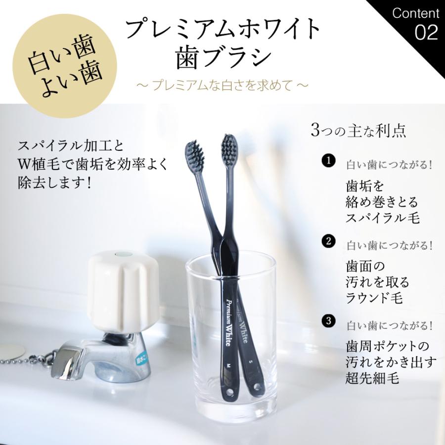 父の日ギフト プレミアムホワイトギフトセット ペースト×1本 歯ブラシ×2本 フロス×1個 サンプル メール便不可 即発送 :91001000 ...