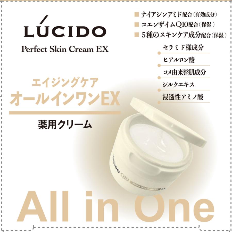 マンダム ルシード 薬用パーフェクトスキンクリームEX 90g (医薬部外品) : INNI SELECTドラッグストア - 通販 - Yahoo!ショッピング