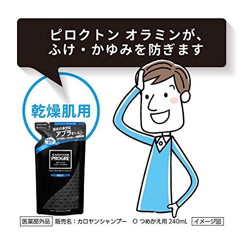 第一三共ヘルスケア カロヤンプログレ薬用スカルプシャンプーOILY 240mL 【医薬部外品】 : 4987107617545 : INNI SELECTドラッグストア - 通販 ...