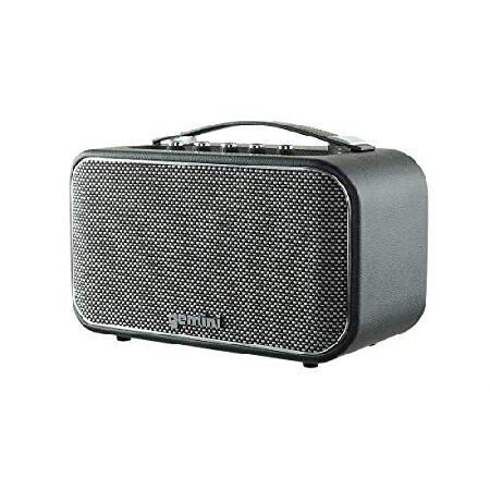 【並行輸入品】 Gemini GTR300 Portable BTTERY Powered BLU SPK,Black : インター ...