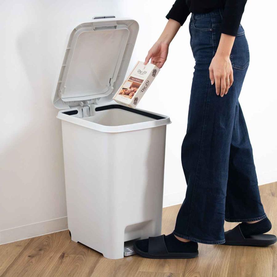 不二貿易 ゴミ箱 45L 2WAY ダストボックス （ ごみ箱 45リットル 幅33 ペダル式 プッシュ式 ふた付き 分別 角型 ワンプッシュ ） : インテリアパレットヤフー店 - 通販 ...