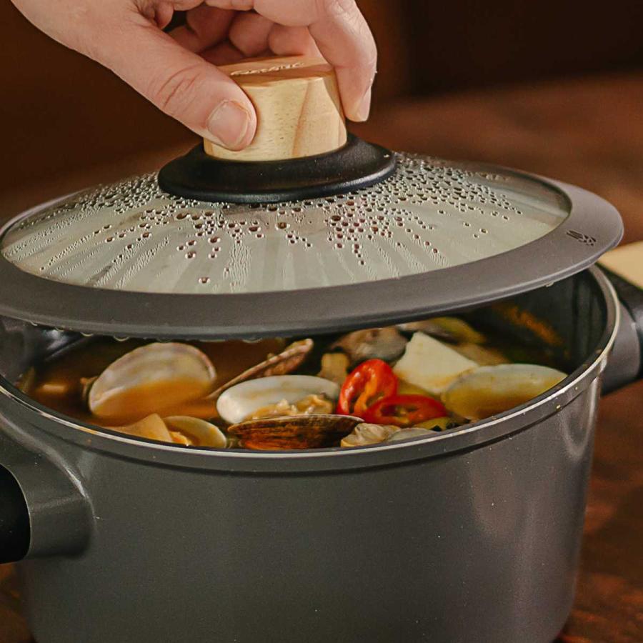 両手鍋 24cm IH対応 大釜鍋 BOSQUE ドクターハウス （ Dr.HOWS ガス火対応 オール熱源対応 両手なべ 深型 セラミック加工 ガラス蓋 韓国 ） :417845:インテリア ...