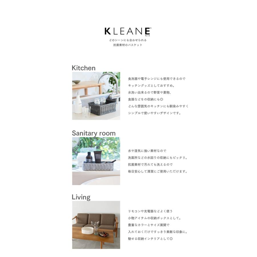 カトラリーケース KLEANE 抗菌 S （ キレーネ 電子レンジ対応 食洗機対応 カトラリートレー カトラリー収納 小物収納 小物入れ ） : インテリアパレットヤフー店 - 通販 ...