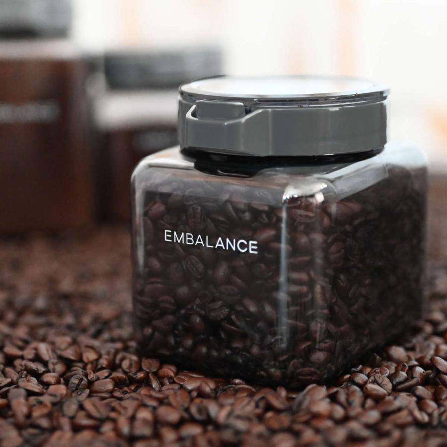 EMBALANCE 保存容器 1.1L プッシュアップコンテナ 2個セット （ エンバランス プラスチック 食洗機対応 冷蔵 密閉 鮮度保持 ...