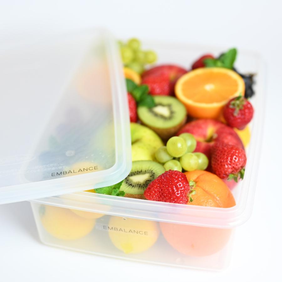 EMBALANCE 保存容器 5.7L レクタングルコンテナ 角型 （ エンバランス プラスチック 冷凍 冷蔵 鮮度保持 日本製 ...