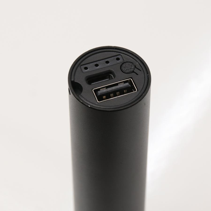 アニサキスライト 充電式 寄生虫対策 （ アニサキス UVライト 発見器 小型 ） : 460223 : インテリアパレットヤフー店 - 通販 ...