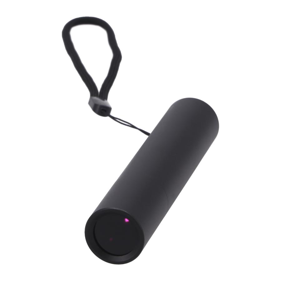 アニサキスライト 充電式 寄生虫対策 （ アニサキス UVライト 発見器 小型 ） : 460223 : インテリアパレットヤフー店 - 通販 ...