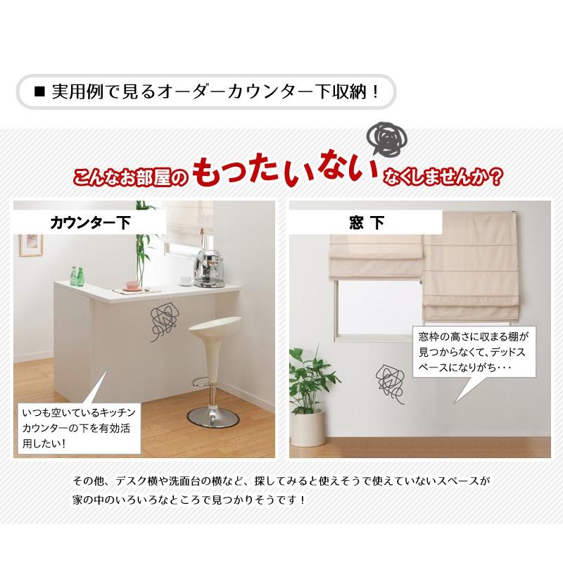 カウンター下収納 薄型 奥行30 or 18 日本製 オーダー (幅60.4cm／高さ90〜110cm／奥行スリムorレギュラー) : ty ...