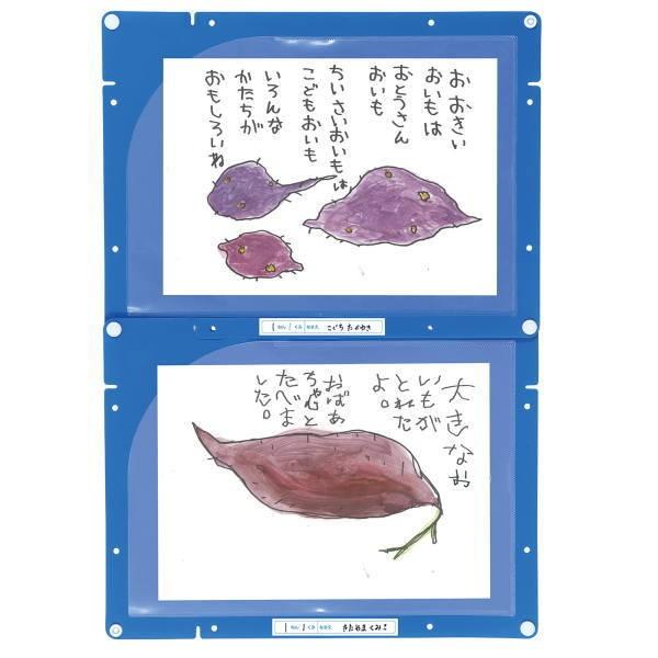 アーテック 縦横連結掲示ホルダー A4 3614 : イーヅカ - 通販 - Yahoo!ショッピング