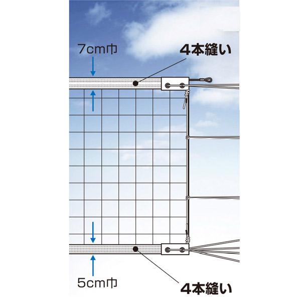 寺西喜商店 上下テープ付 6人制 バレーネット サイドベルト付 KT-131 : イーヅカ - 通販 - Yahoo!ショッピング