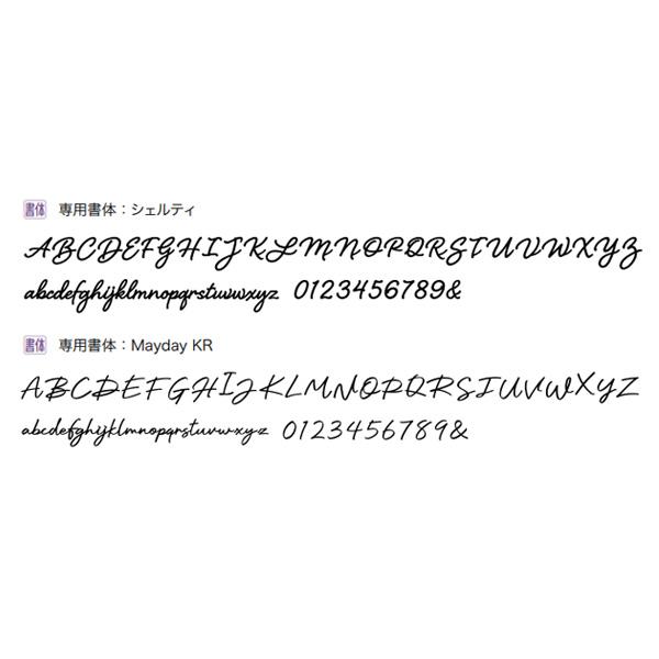 オンリーワンクラブ 表札 ネームプレート キリモジ・バー スクリプト（バーなし） Lサイズ 約W90〜300×H50〜110×D3mm HS1 ...