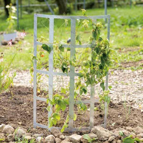 オンリーワンクラブ ガーデンサポート （S） RT3-TN007 : ooc-rt3tn007 : イーヅカ - 通販 - Yahoo!ショッピング