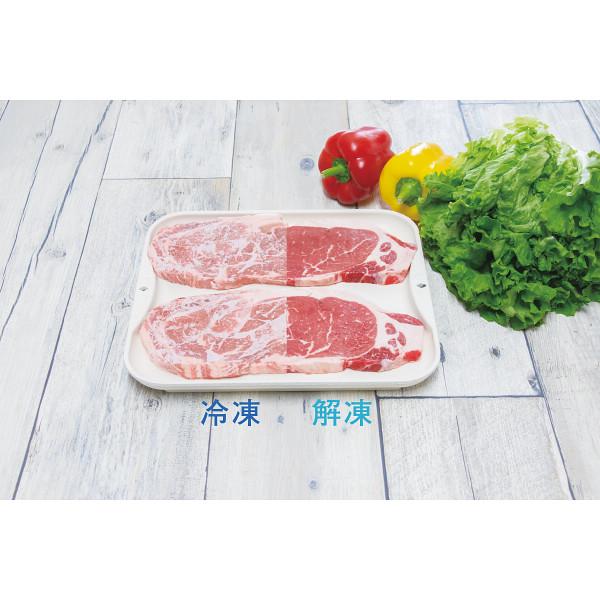 解凍皿NEWクイッ君 KS-3181 : イーヅカ - 通販 - Yahoo!ショッピング