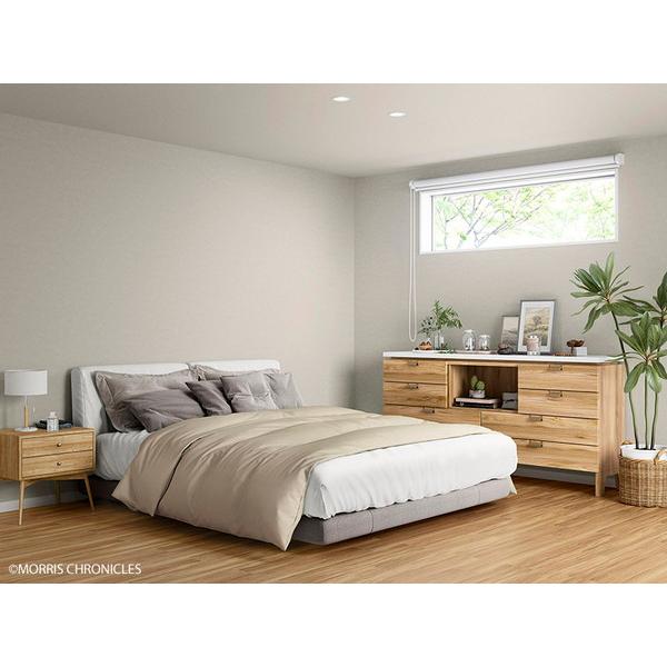 サンゲツ 壁紙 MORRIS CHRONICLES LIME PLASTER FE76024 1m長 糊なし : イーヅカ - 通販 - Yahoo!ショッピング