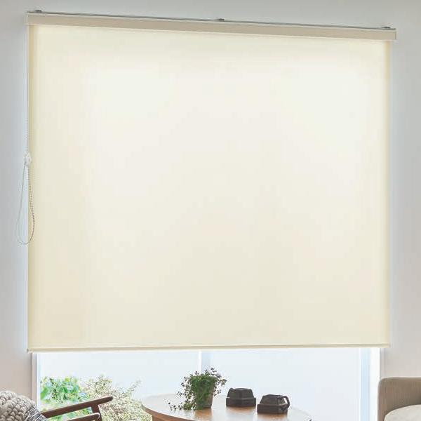 タチカワブラインド タチカワ ロールスクリーン ラルクシールド フロスティ RS-1319〜R-1321 幅250〜490mm 高さ2510 〜3000mm : イーヅカ - 通販 ...