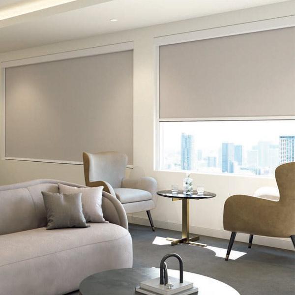 タチカワブラインド タチカワ ロールスクリーン ラルクシールド アネシス遮光 RS-1504〜RS-1506 幅1605〜2000mm 高さ300〜490mm : イーヅカ - 通販 ...