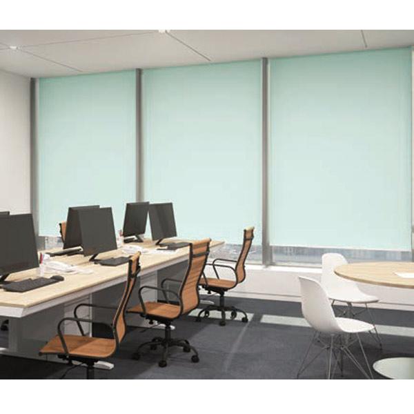 タチカワブラインド タチカワ ロールスクリーン ラルクシールド ミント RS-1511〜RS-1525 幅250〜490mm 高さ2510 〜3000mm : イーヅカ - 通販 ...