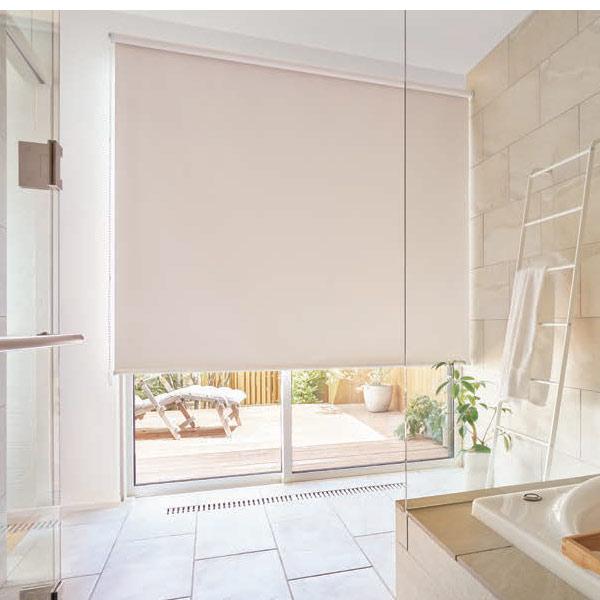 タチカワブラインド タチカワ ロールスクリーン ラルク浴室 ミント RS-1511〜RS-1525 幅250〜490mm 高さ500〜800mm : イーヅカ - 通販 - Yahoo!ショッピング