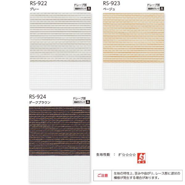 タチカワブラインド タチカワ 調光ロールスクリーン デュオレスリム スキエ 部品色（木目調・単色） RS-922〜924 幅1605〜2000mm 高さ2010〜2500mm : イーヅカ ...