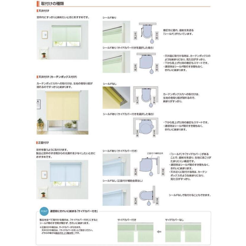 タチカワブラインド タチカワ ロールスクリーン ボタニカル ファールン ラルクシールド RS-8017 | RS-8018 幅1605〜2000mm 高さ300〜490mm : イーヅカ ...