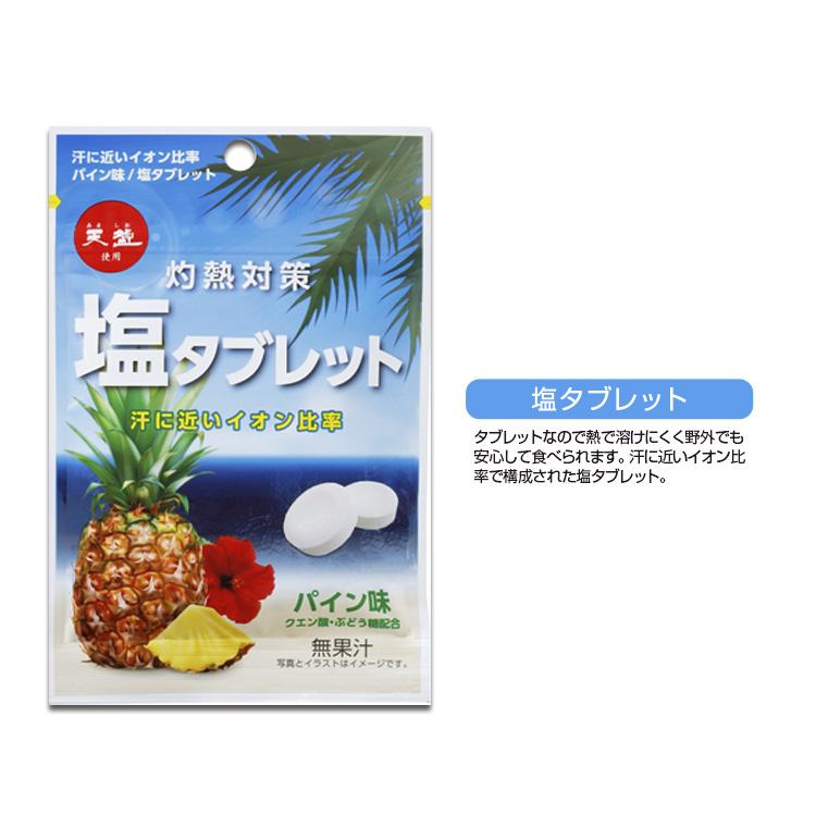 ブレイン 熱中対策キットDX BR-610 : イーヅカ - 通販 - Yahoo!ショッピング