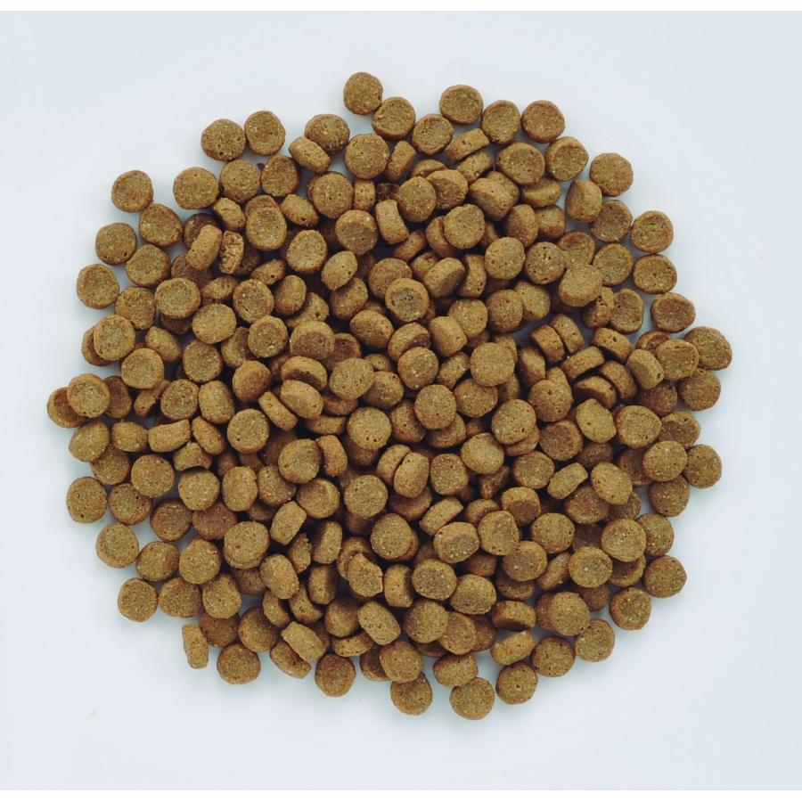 ナチュラルハーベスト（NATURAL harvest） シニアサポート [ハイシニア用食事療法食] 1.47kg 1袋 : 犬想い - 通販 - Yahoo!ショッピング