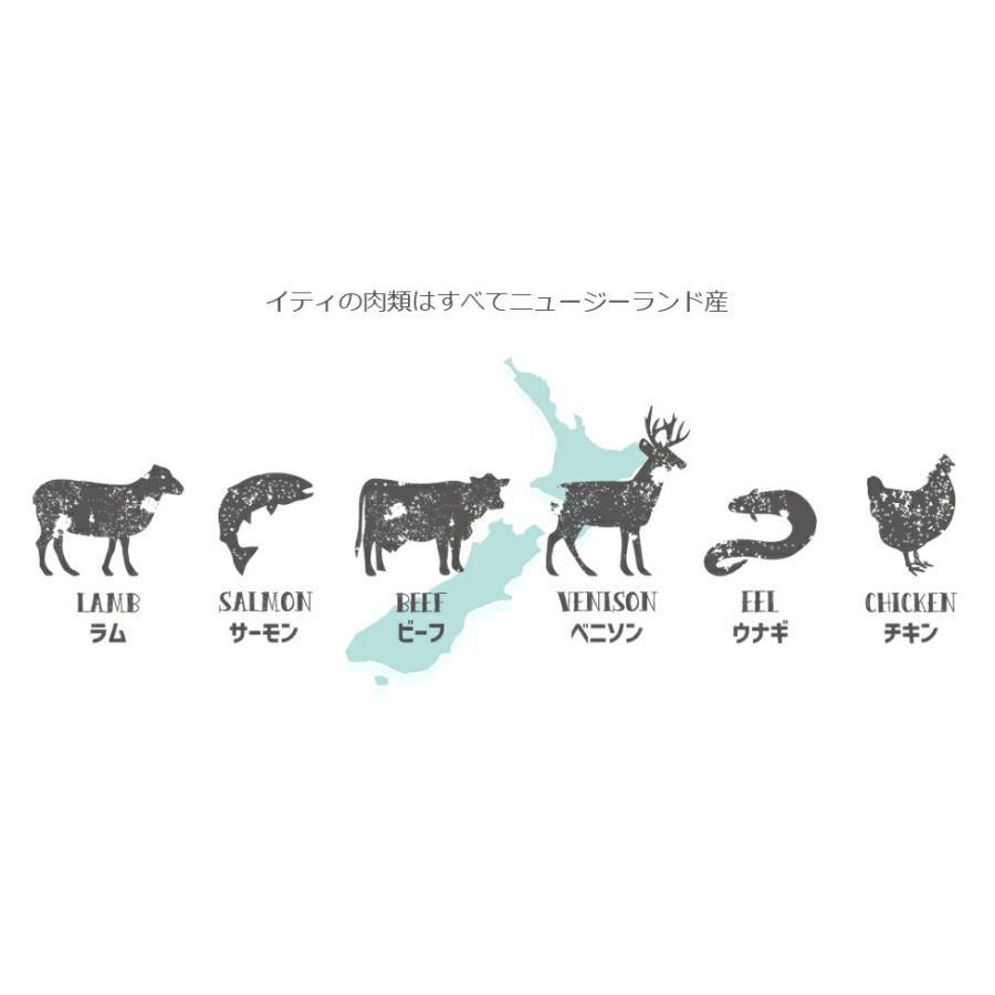 イティ iti イティドッグ ビーフディナー400g (200g×2袋) : 犬想い - 通販 - Yahoo!ショッピング