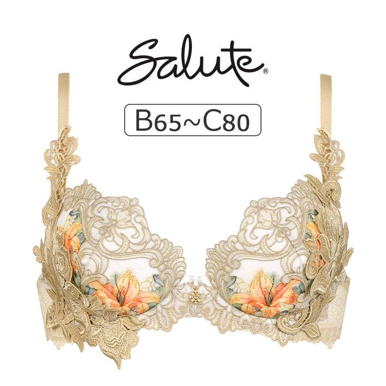 ワコール サルート 82G P-upタイプ ブラジャー単品 全3色 B・Cカップ/アンダー65・70・75・80cm BTJ482 : wabtj482-bc : アンテシュクレ インナー ...