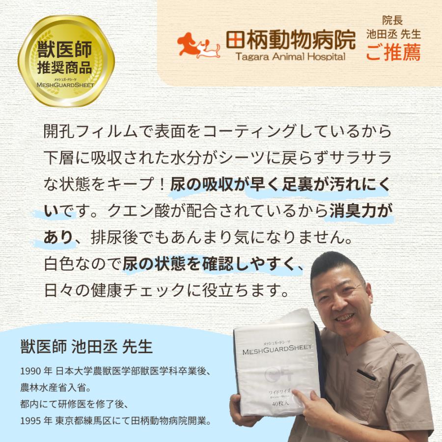 OFT (アウトレットセール) [ペットシーツ メッシュガードシーツ レギュラー 80枚入り×2袋] 犬 いぬ イヌ 犬トイレ トイレシーツ レギュラーサイズ : OFT STORE ...