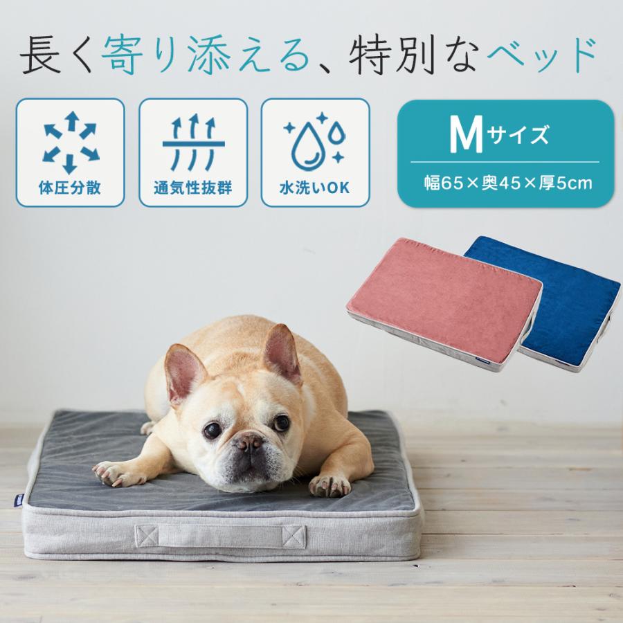 OFT (OFT) 洗えるペットマット クッションエアー M (犬ベッド ペット 健康 清潔 犬 イヌ 老犬 足腰 反発 ベッド 丸洗い 介護 マット) : OFT STORE Yahoo!店 ...