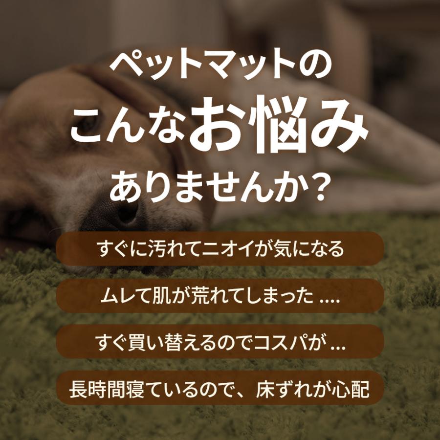 OFT (OFT) 洗えるペットマット クッションエアー M (犬ベッド ペット 健康 清潔 犬 イヌ 老犬 足腰 反発 ベッド 丸洗い 介護 マット) : OFT STORE Yahoo!店 ...